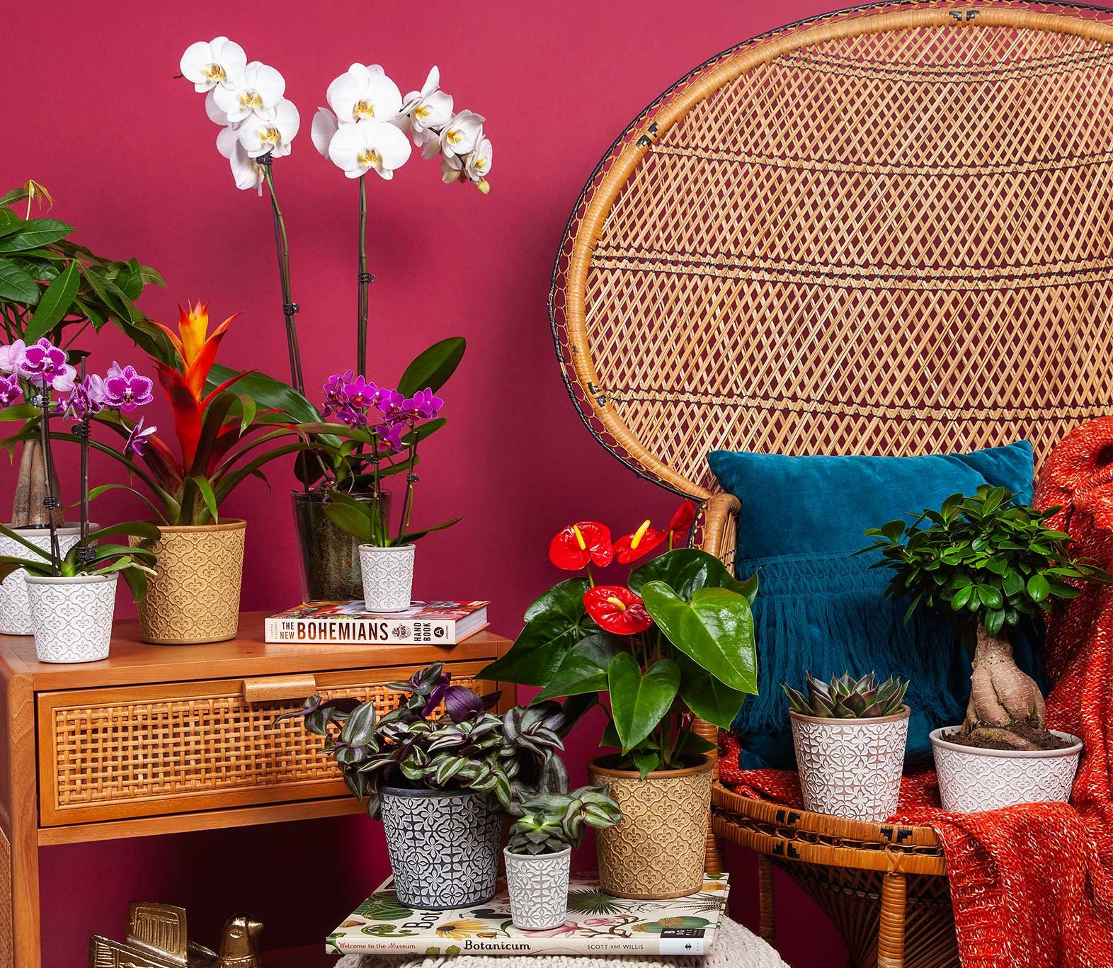 Max and Miles Plants