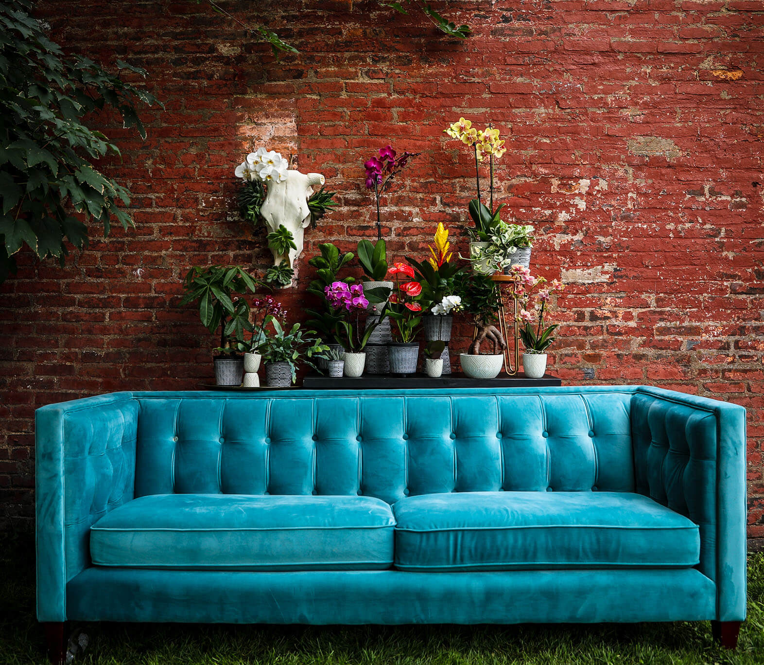 Max and Miles Plants