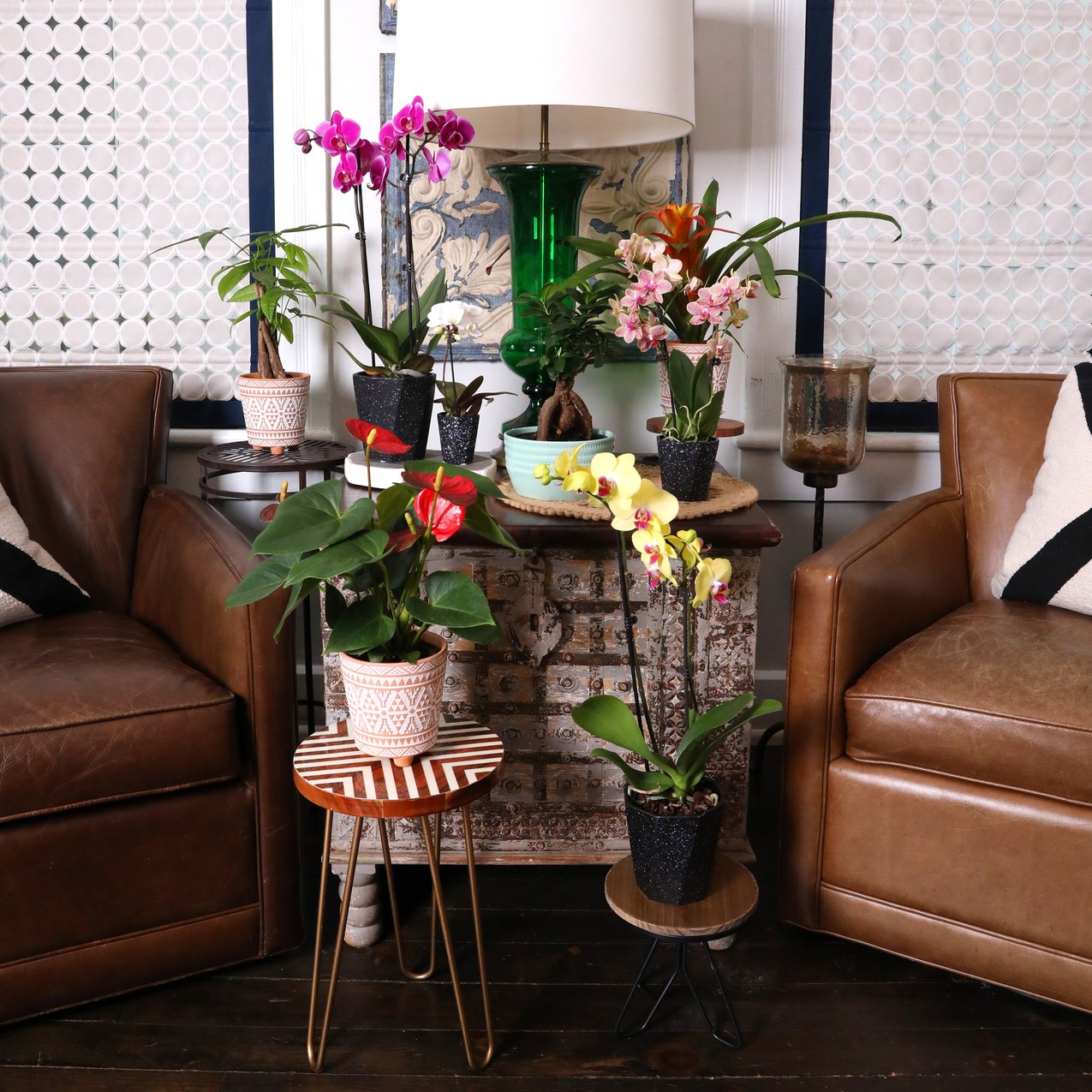 Max and Miles Plants