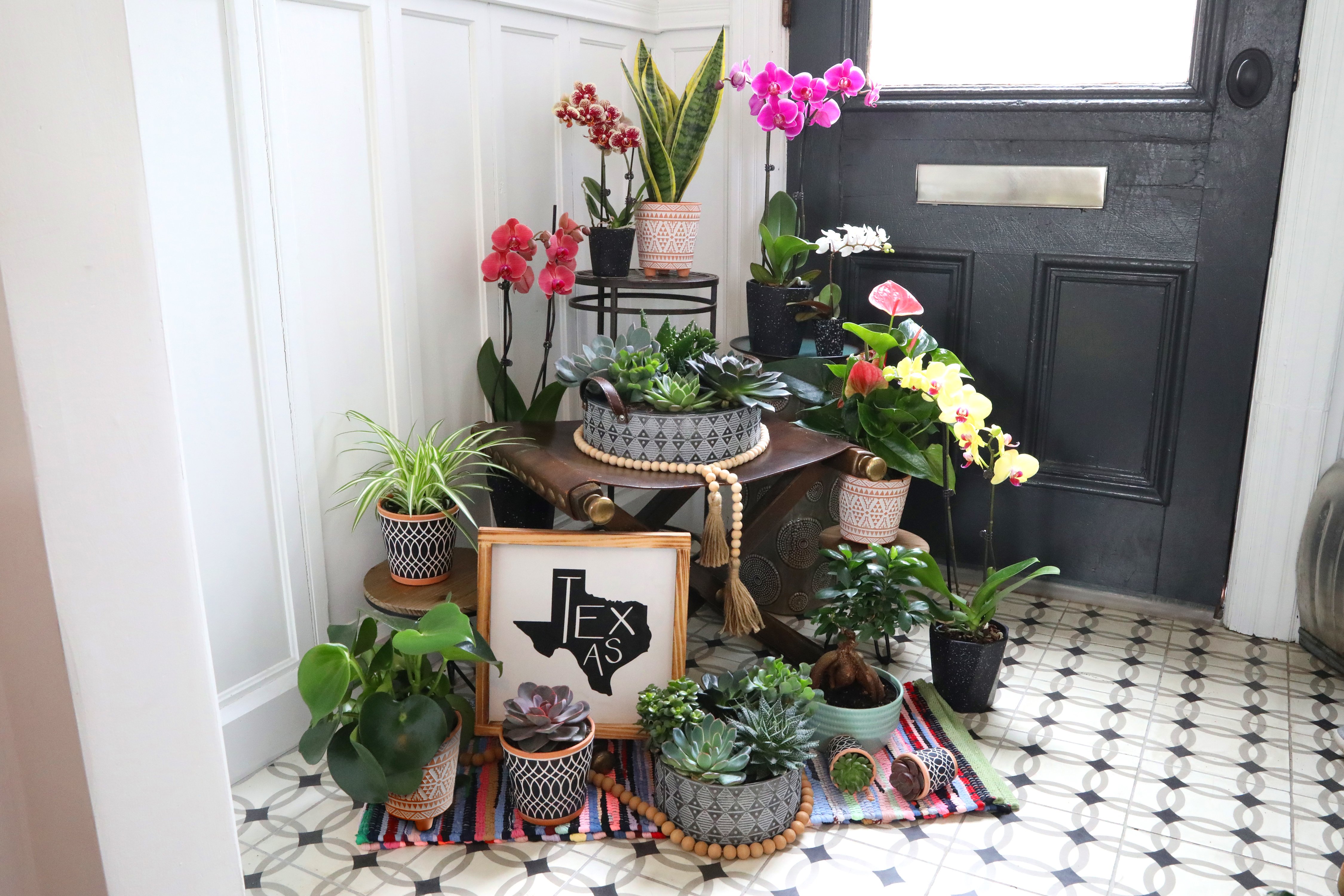 Max and Miles Plants